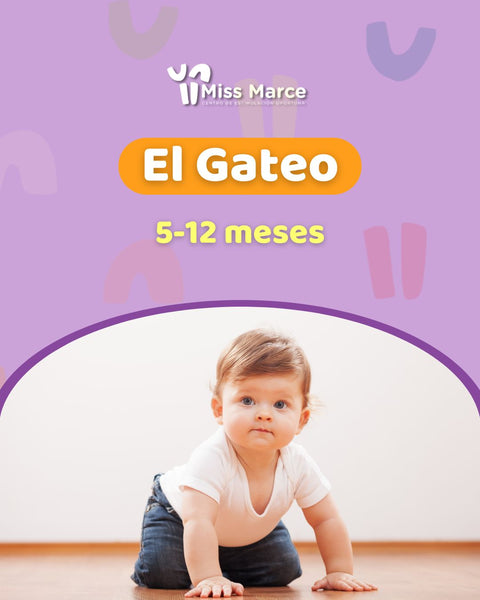 El Gateo: Guía para resolver tus dudas – Miss Marce